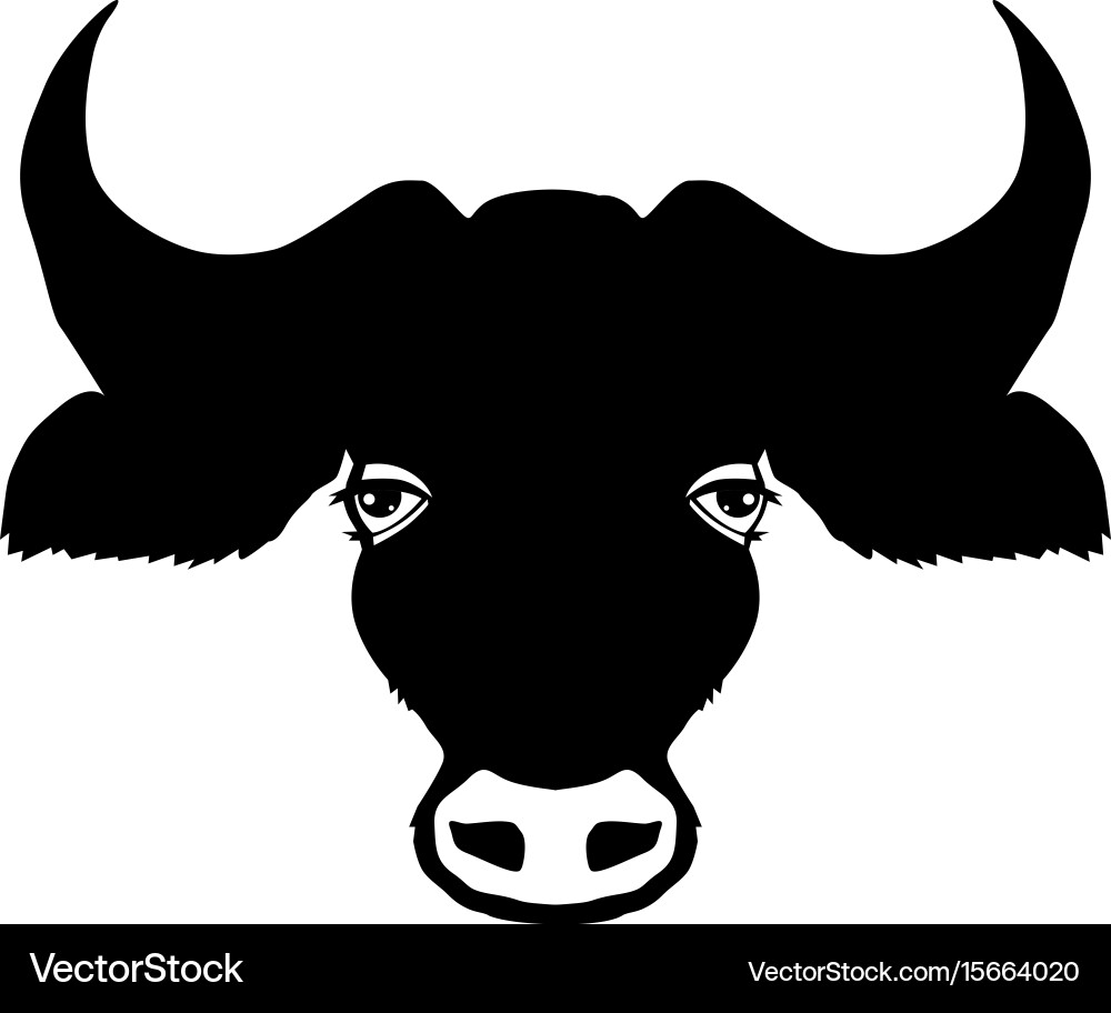 Head of buffalo Royalty Free Vector Image - VectorStock