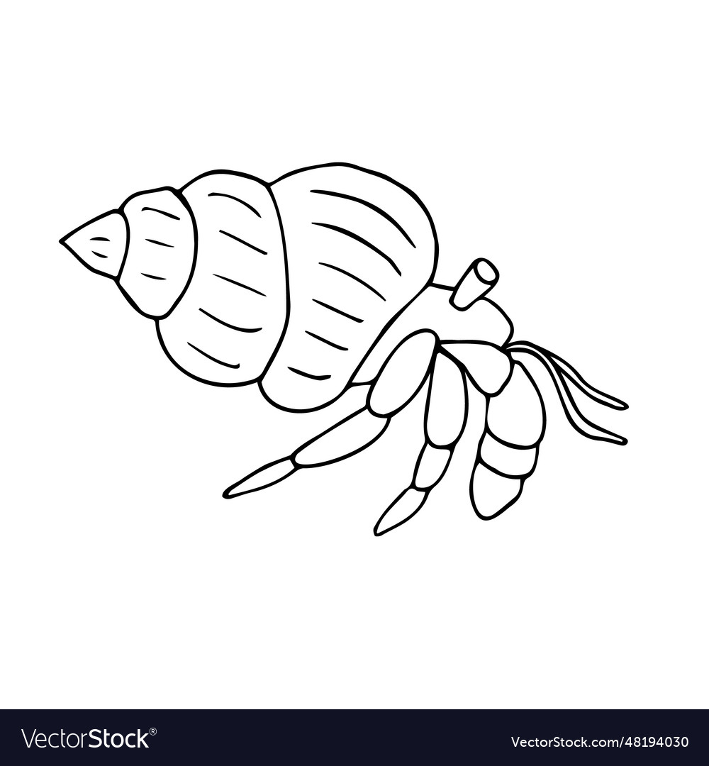 Hermit Crab Clipart Black And White