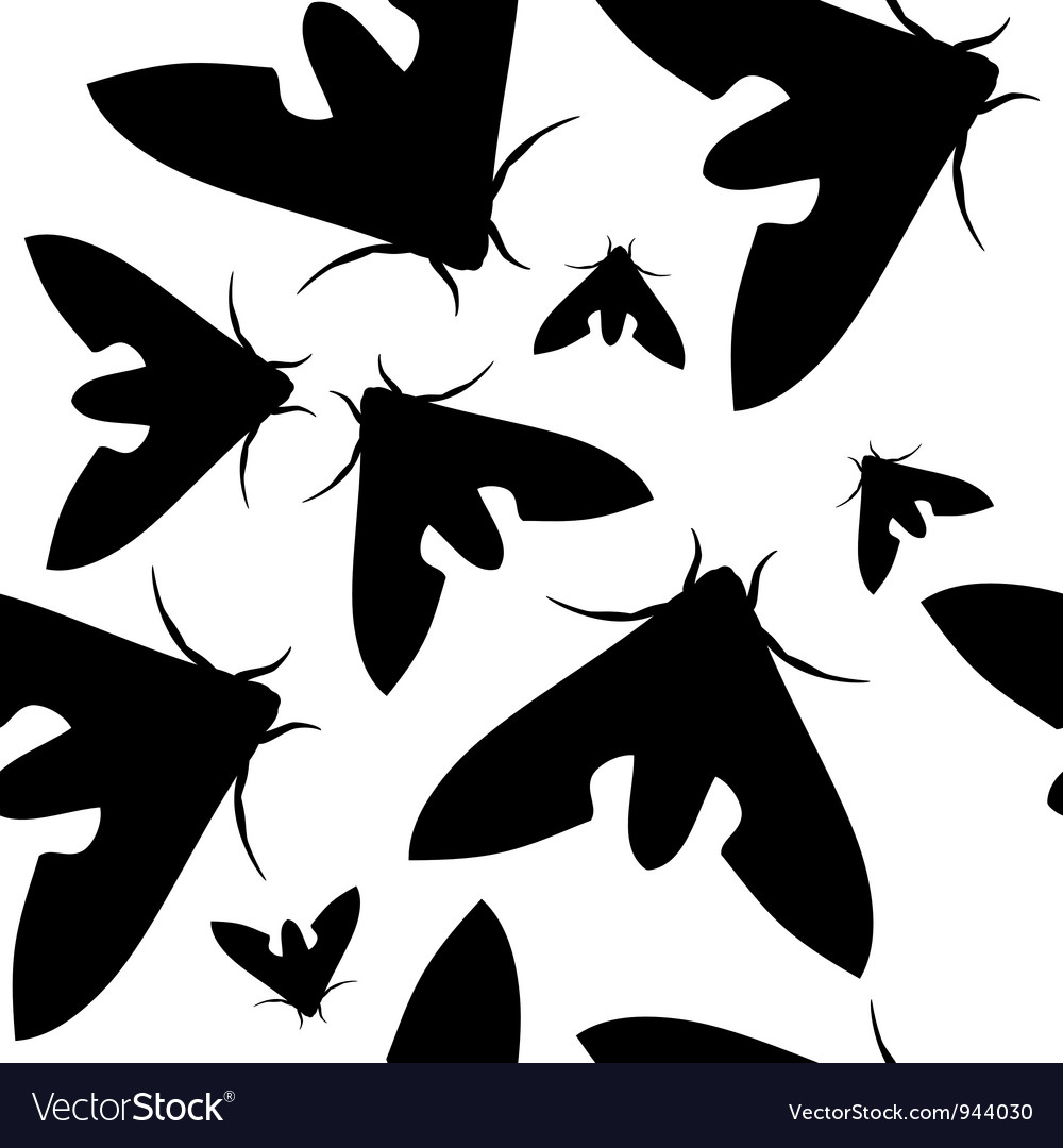 Seamless moth background Royalty Free Vector Image