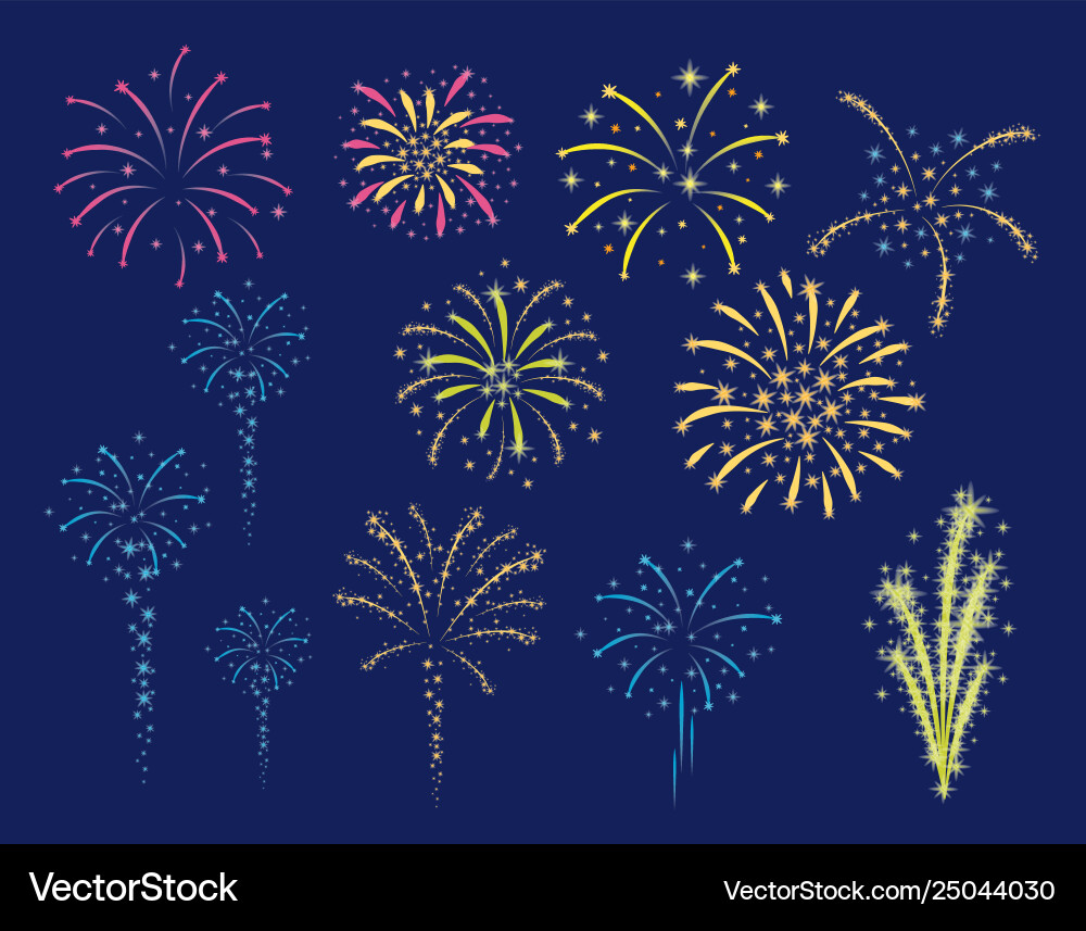 Set various colorful fireworks on a dark Vector Image