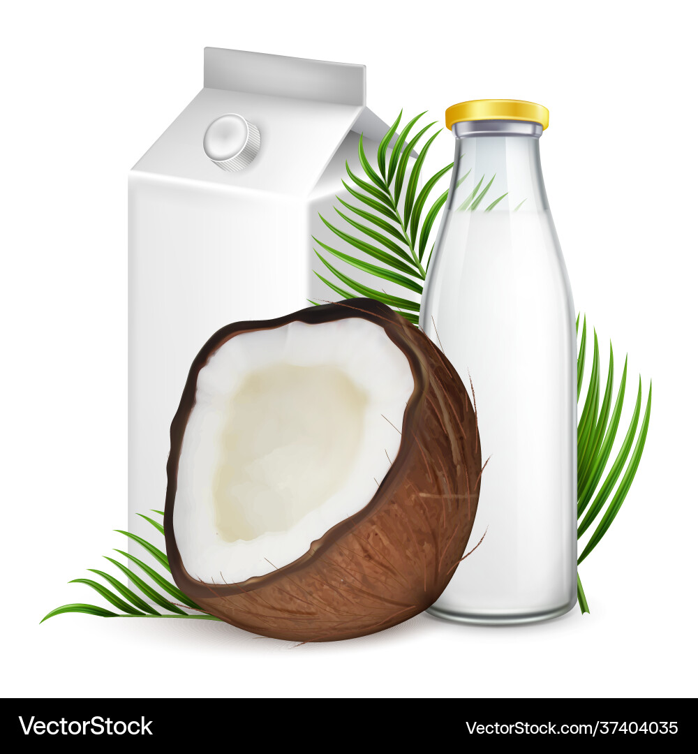 Coconut milk package and bottle mockup set 3d Vector Image