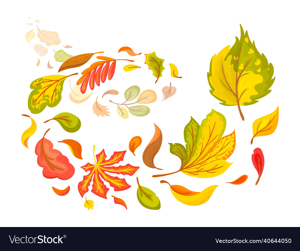 Composition of flying autumn colorful leaves Vector Image