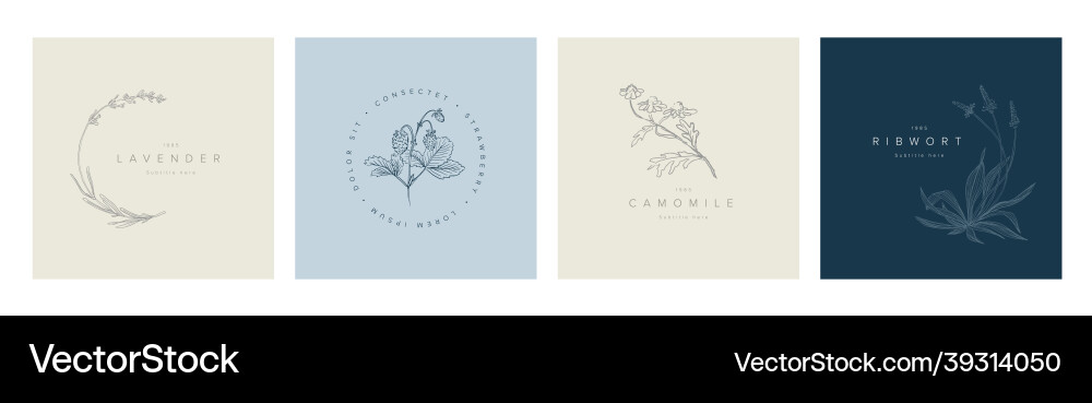 Minimalist floral emblem title frames collection Vector Image