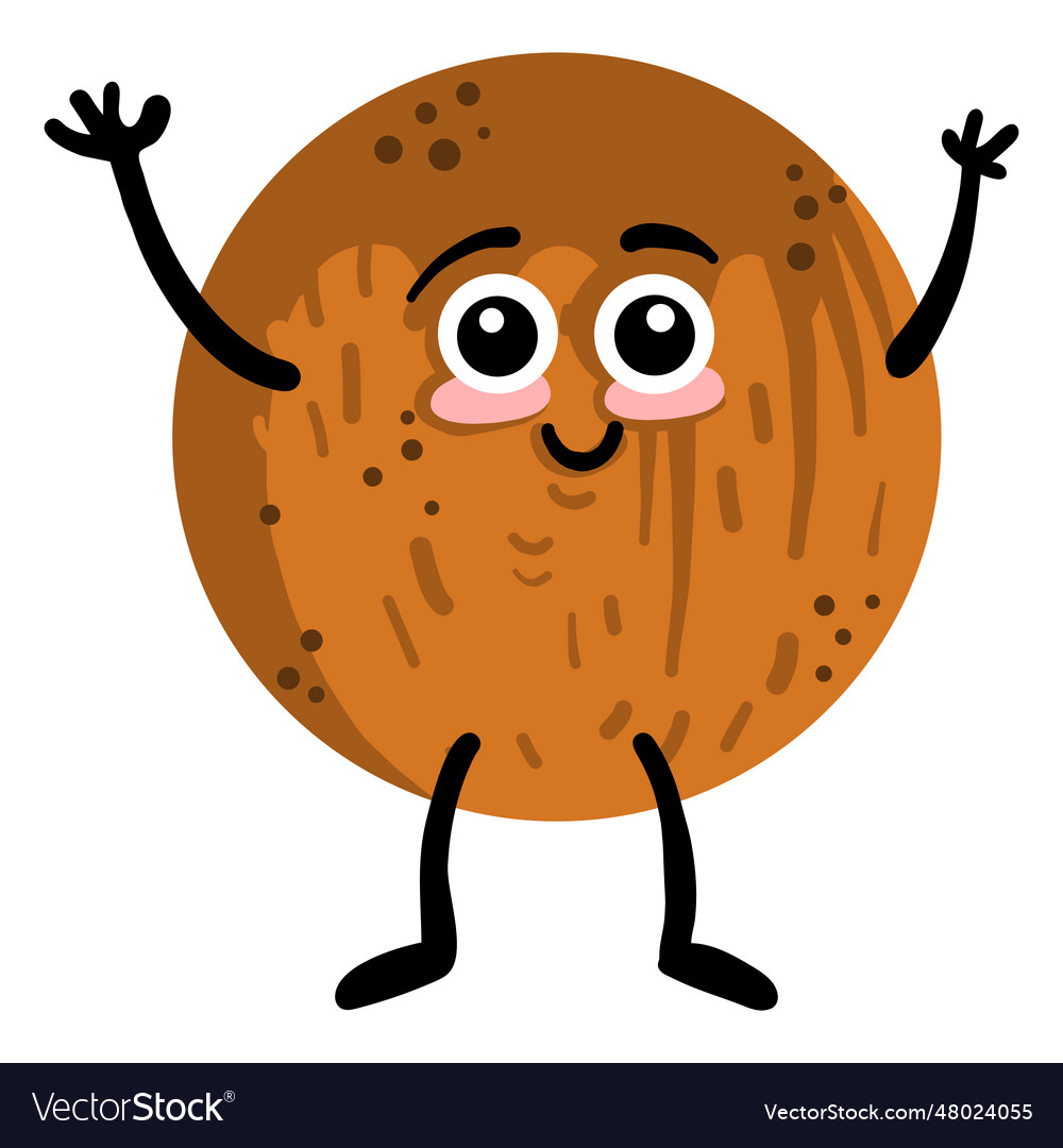 Coco coconut flat Royalty Free Vector Image - VectorStock