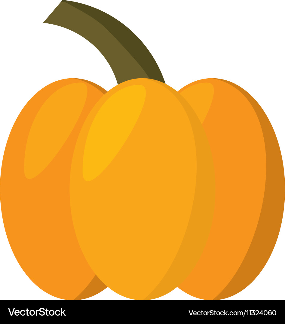 Thanksgiving pumpkin isolated icon Royalty Free Vector Image