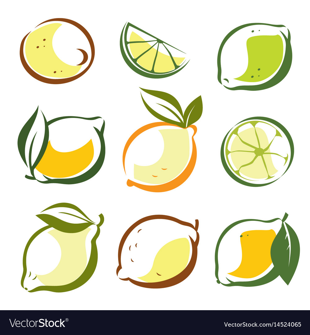 Set lemons and lime symbols in sketch style Vector Image
