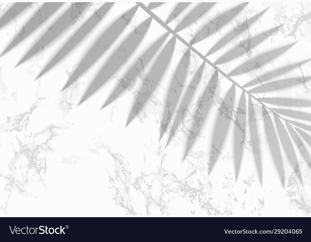 Transparent shadow overlay effect tropic leaf Vector Image Transparent shadow overlay effect tropic leaf Vector Image
