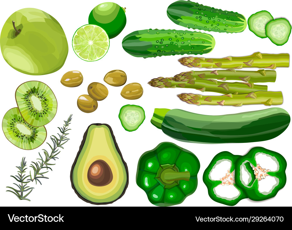 Collection fresh green color vegetables Royalty Free Vector