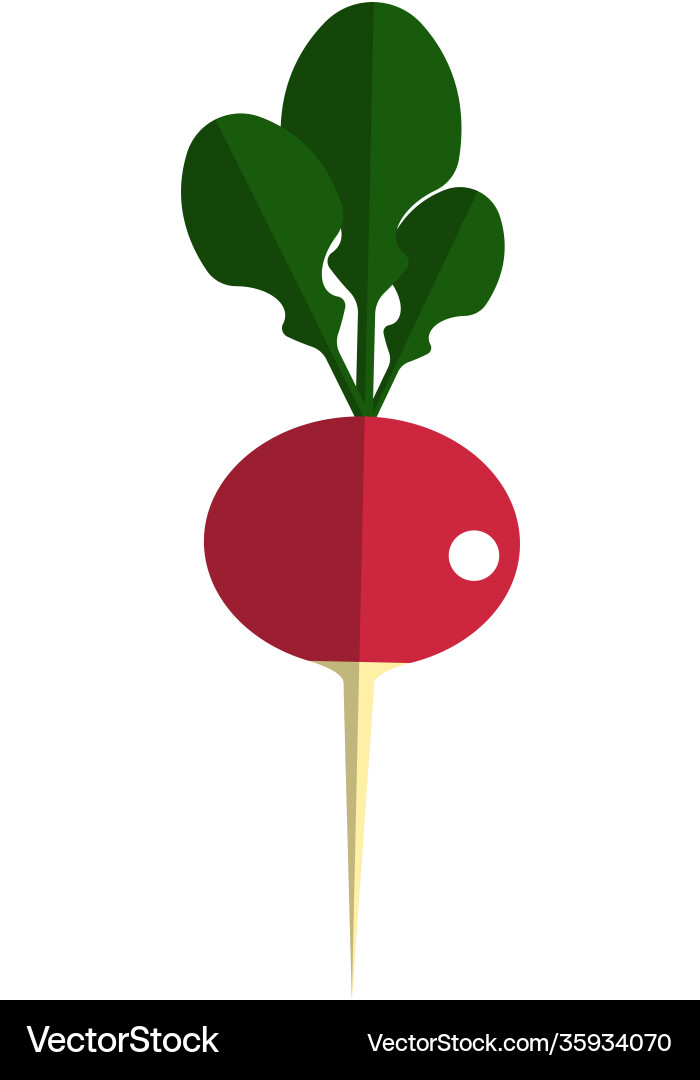 Radish icon flat isolated Royalty Free Vector Image