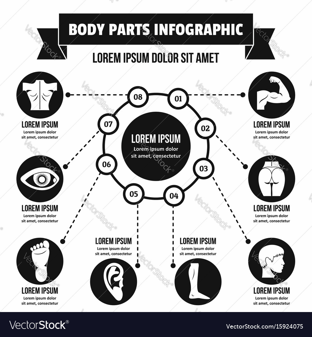 Body parts infographic concept simple style Vector Image