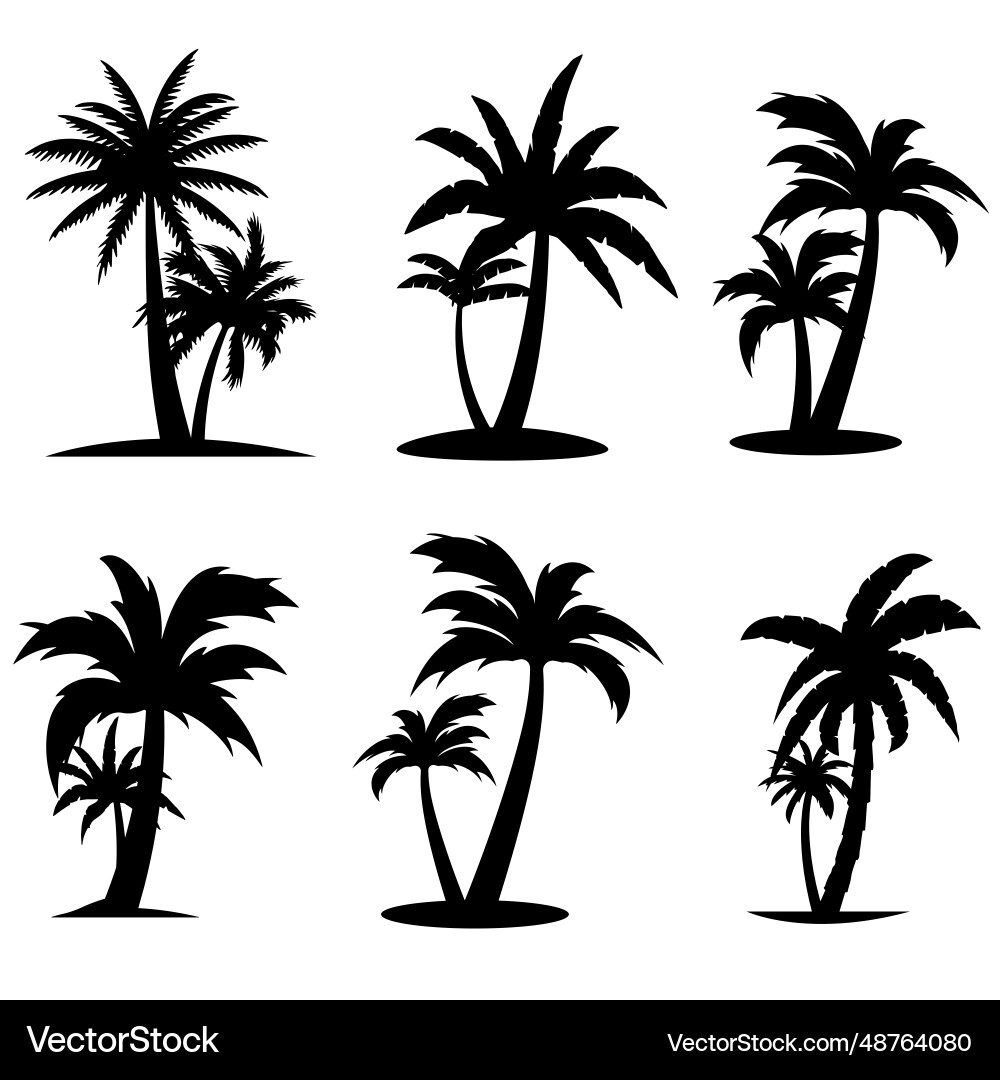 Black palm trees are set isolated on a white Vector Image