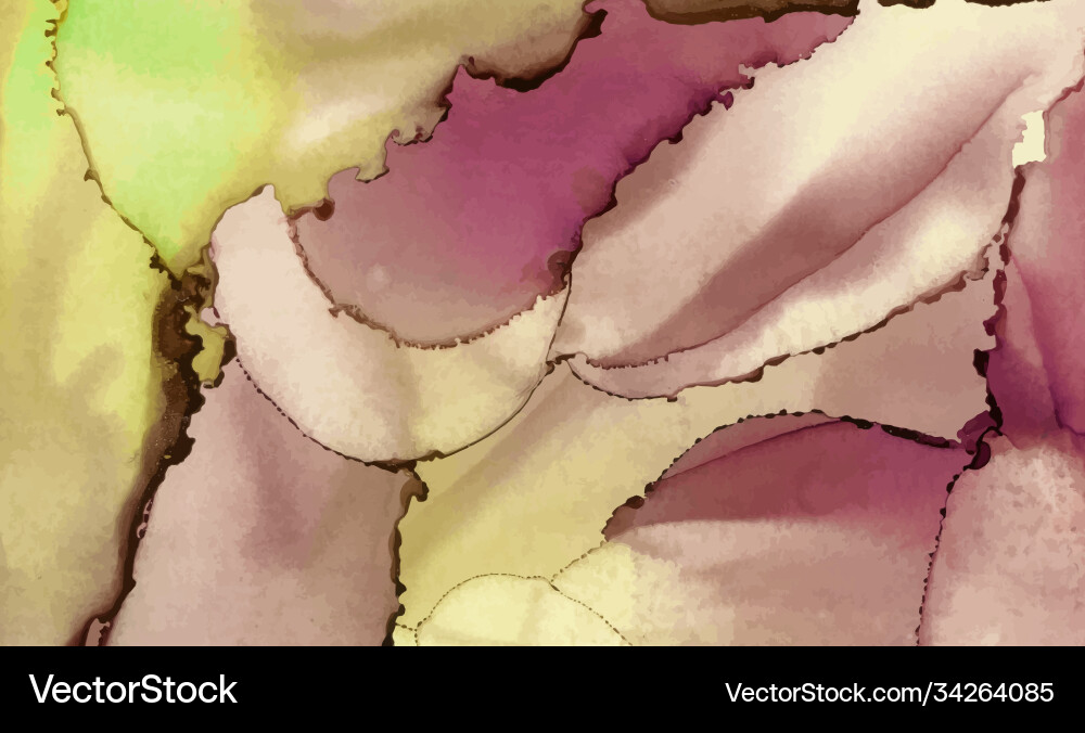 Alcohol ink texture banner fluid ink abstract Vector Image