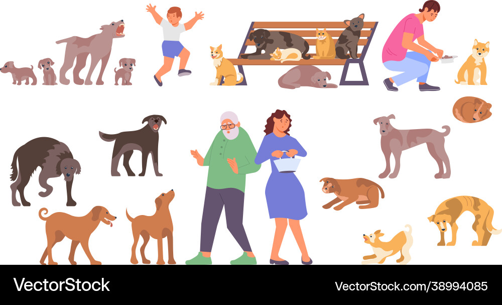 Homeless animals flat set Royalty Free Vector Image