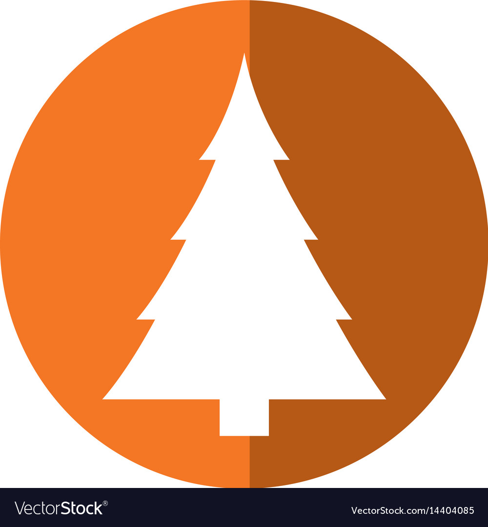 Pine tree icon Royalty Free Vector Image - VectorStock