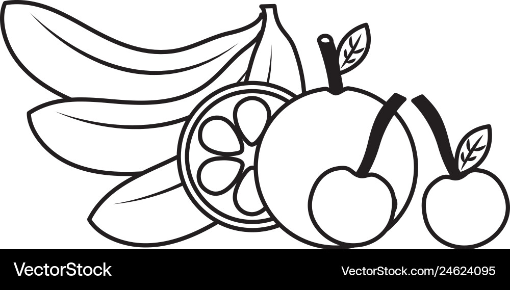 Fruits fresh organic Royalty Free Vector Image