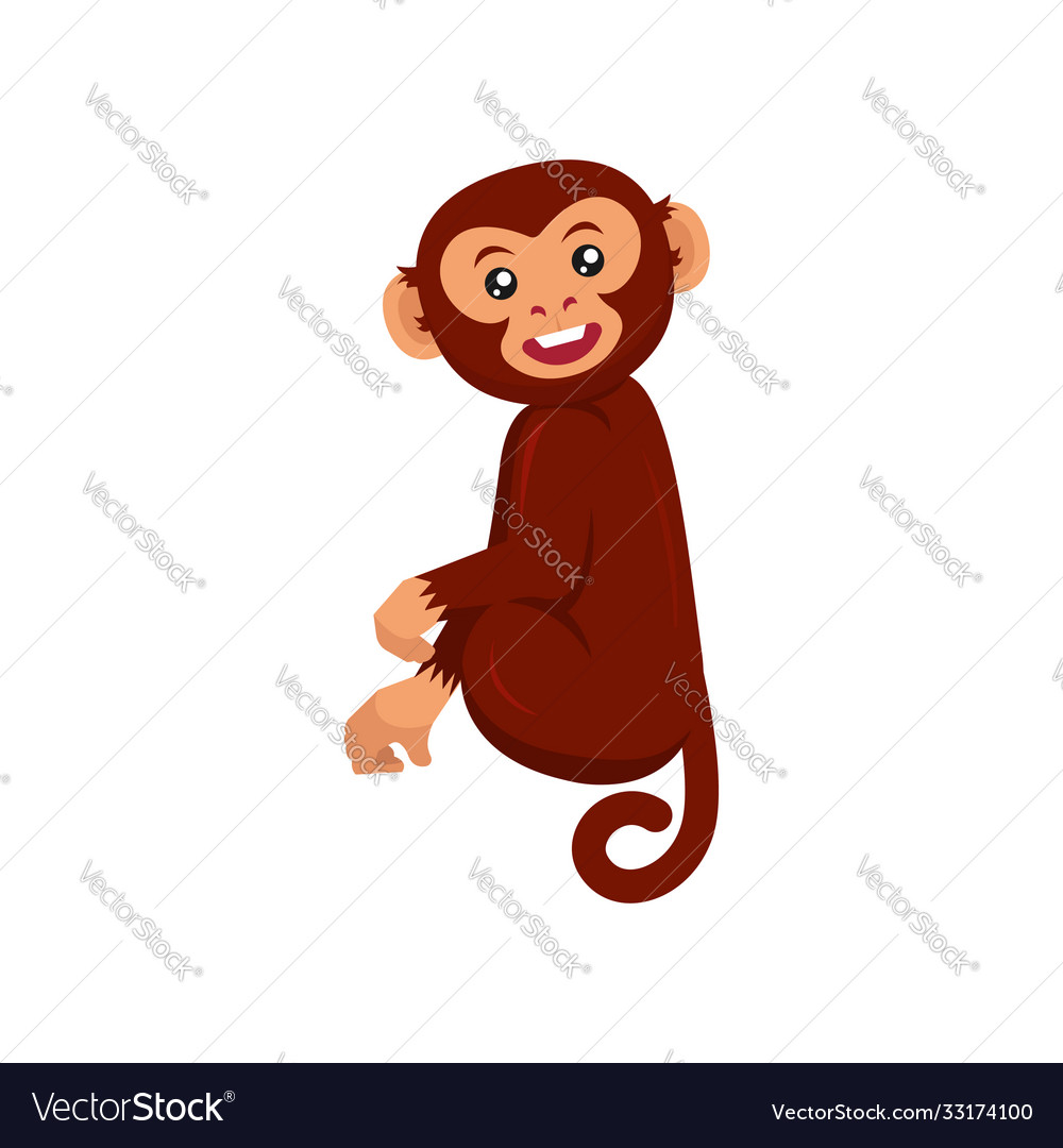 Monkey Royalty Free Vector Image - VectorStock