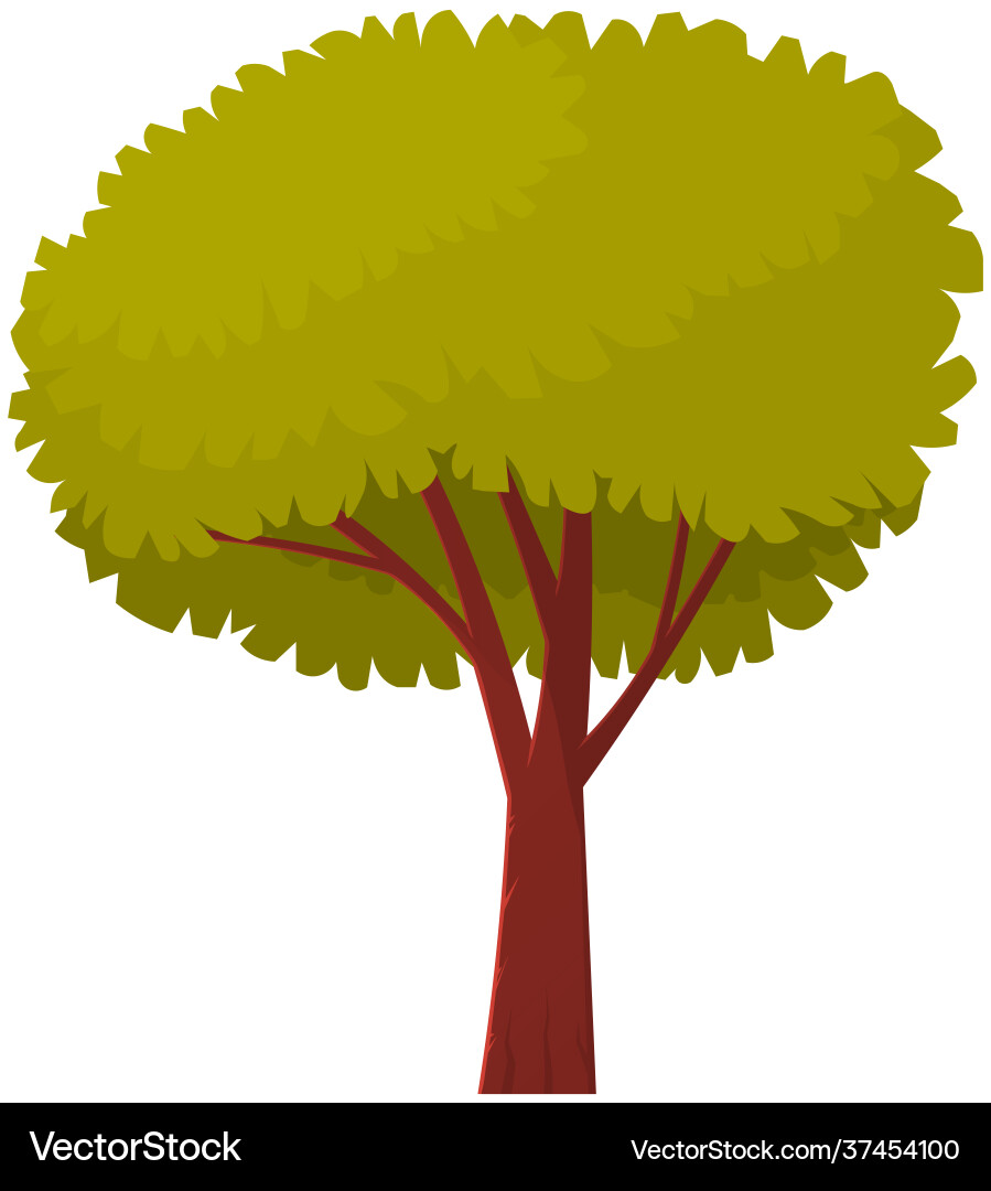 Tall tree with brown thick trunk and leaves large Vector Image