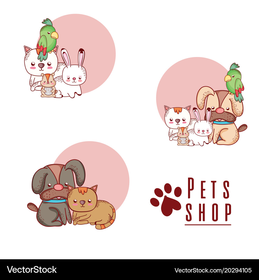 Pet shop cute cartoons Royalty Free Vector Image