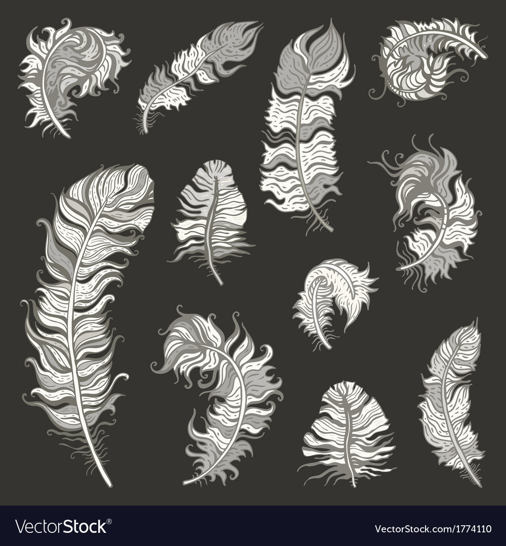 Feather set Royalty Free Vector Image - VectorStock