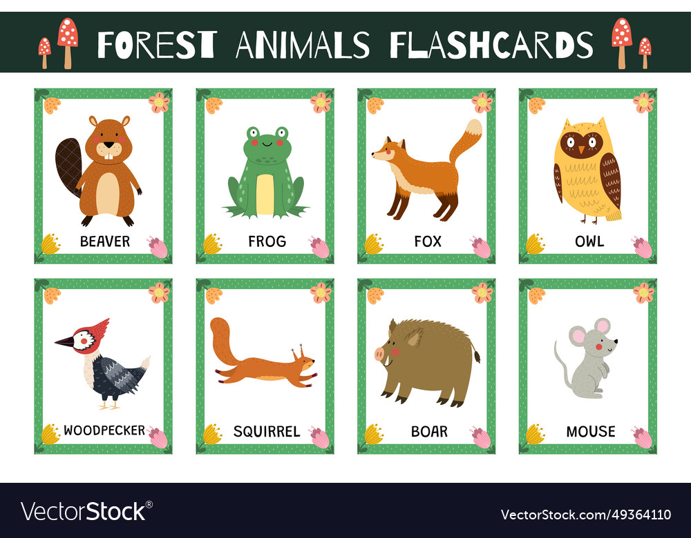 Forest animals flashcards collection for kids Vector Image