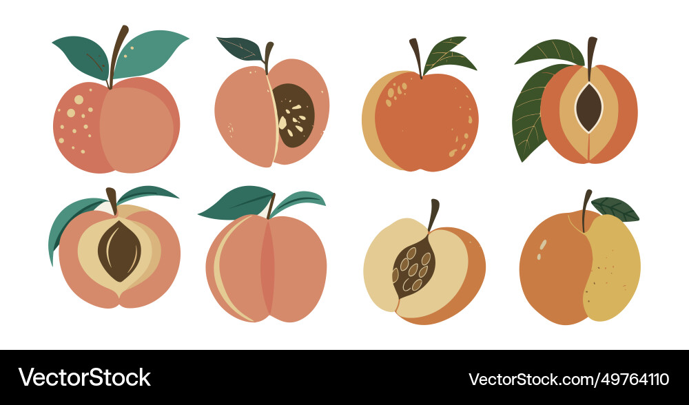 Hand drawn abstract peach fruits set Royalty Free Vector