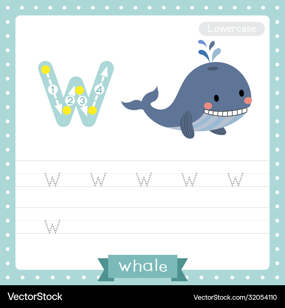 Letter w lowercase tracing practice worksheet of Vector Image