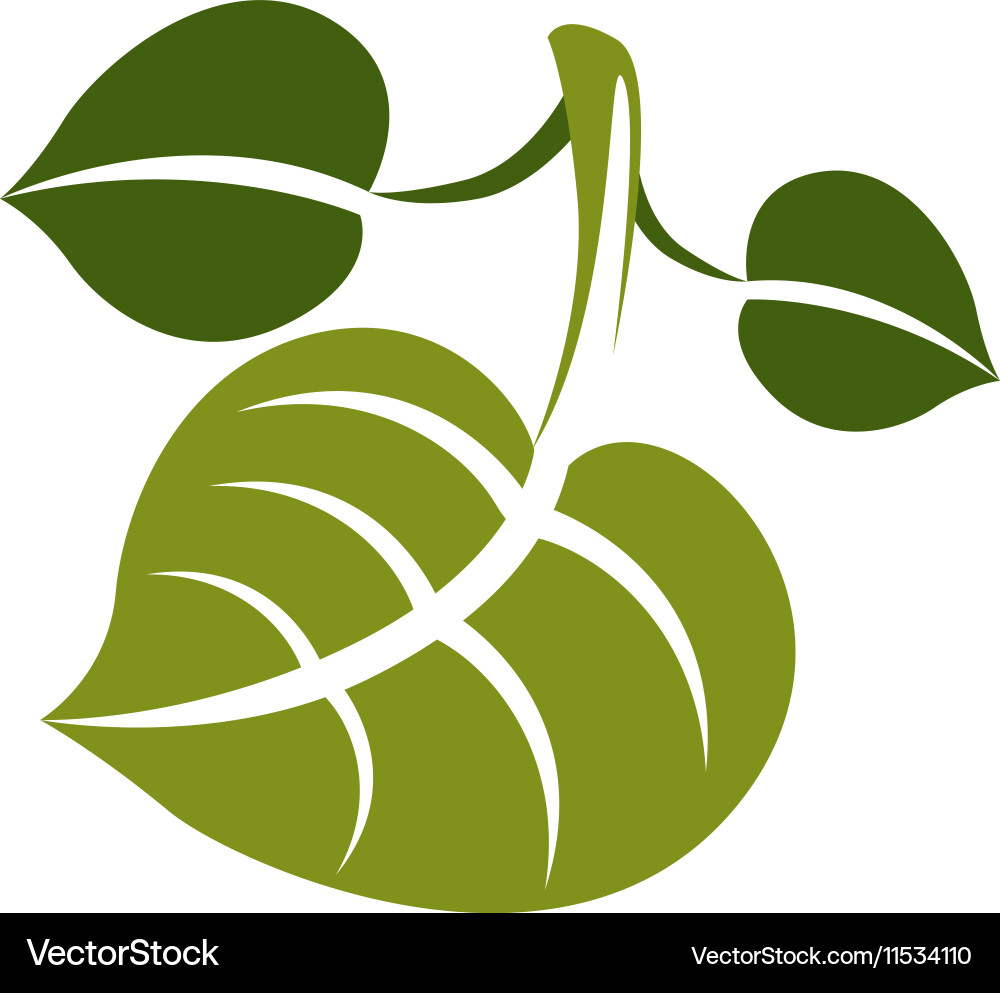 Spring leaf simple icon nature and gardening theme