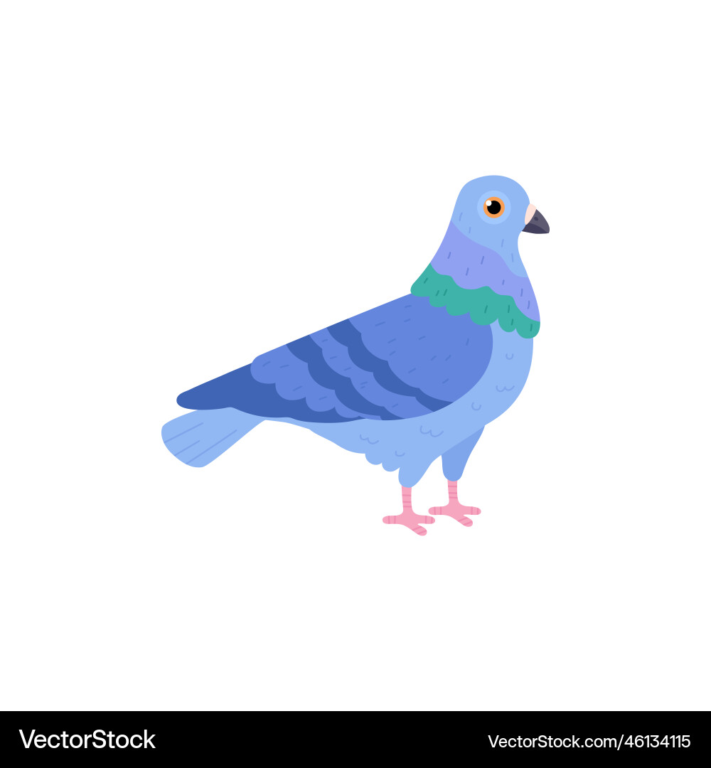 Pigeon bird standing cartoon flat Royalty Free Vector Image
