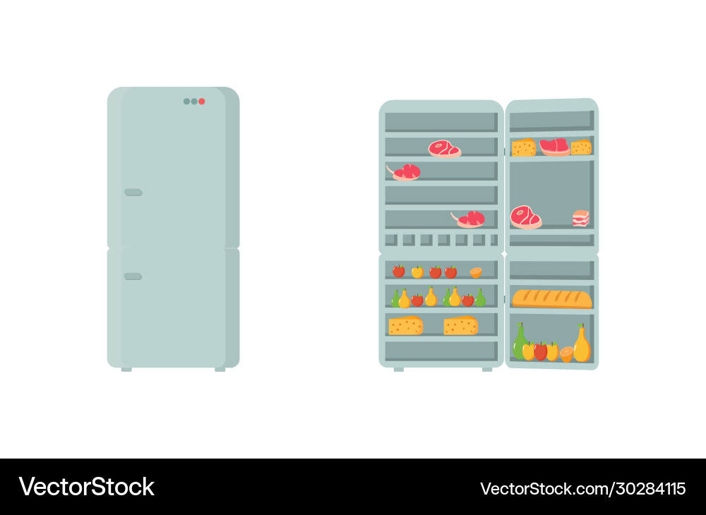 Refrigerator with freezer Royalty Free Vector Image