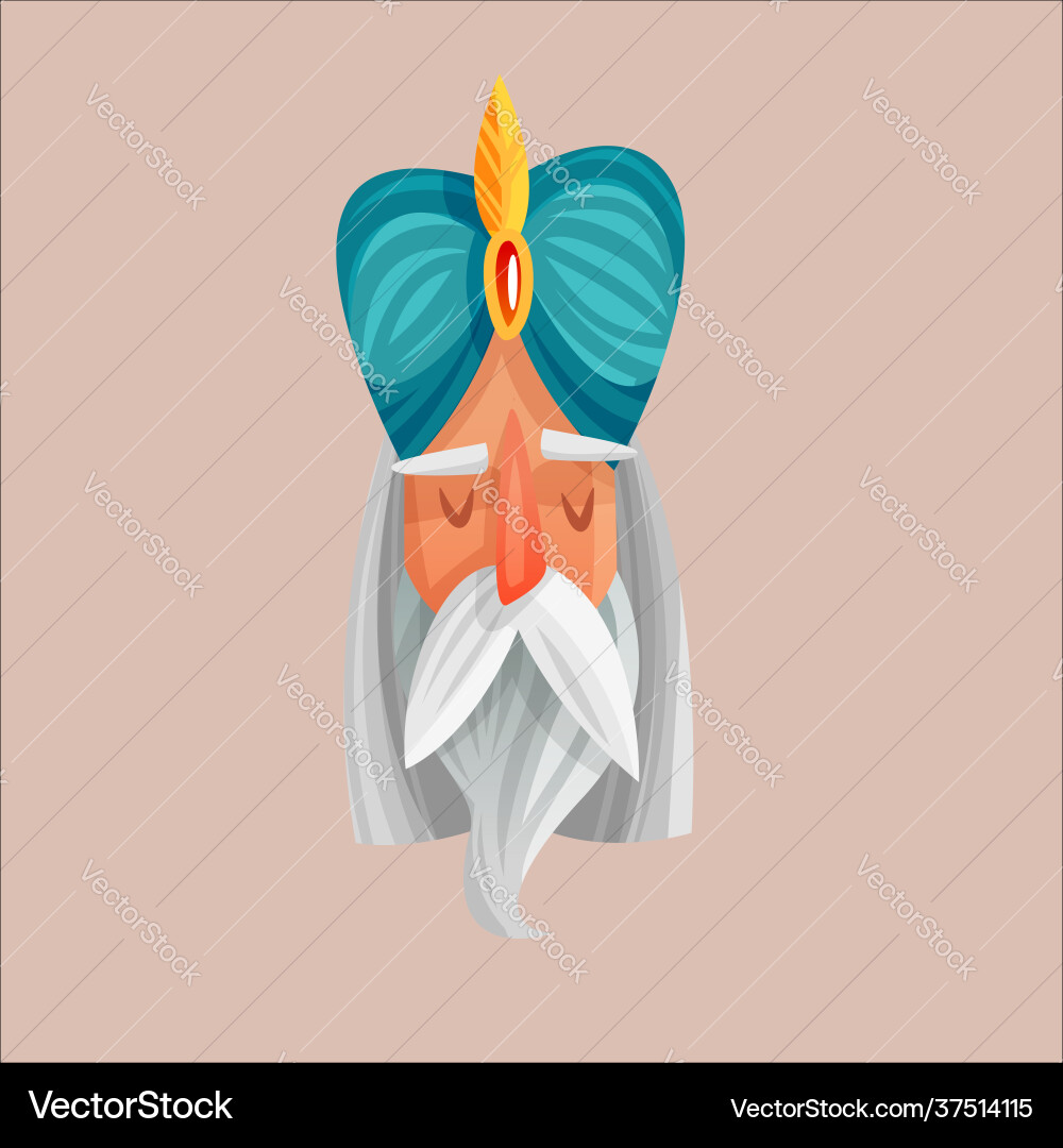 Royal character cartoon Royalty Free Vector Image
