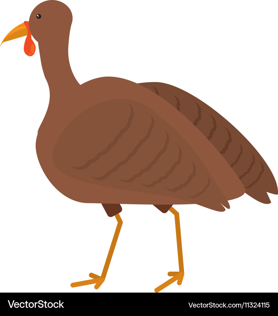Turkey bird thanksgiving icon Royalty Free Vector Image