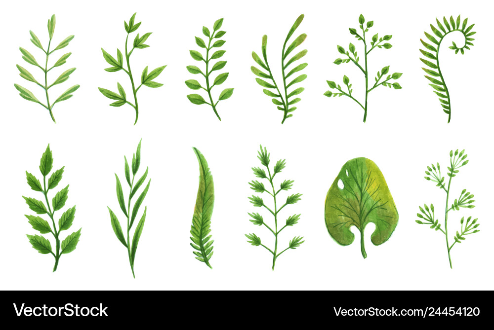 Designer elements set collection of green Vector Image