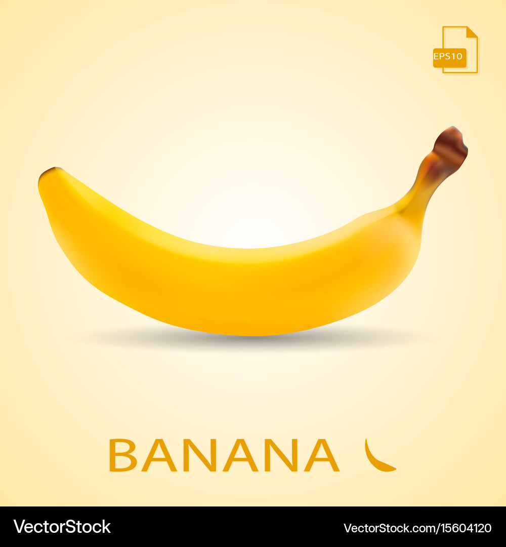 Single fresh banana fruit isolated on a background