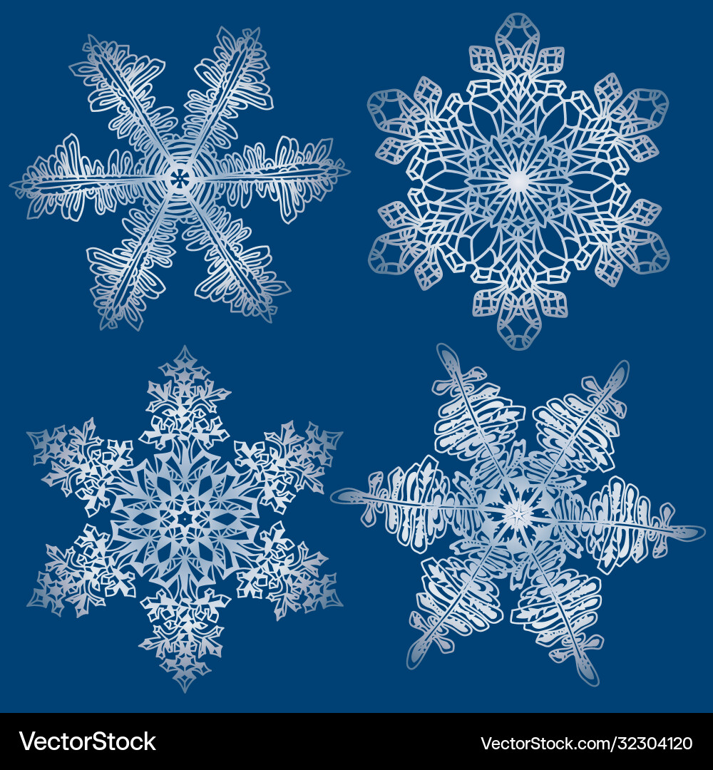 Snowflakes set graphic snowflakes Royalty Free Vector Image