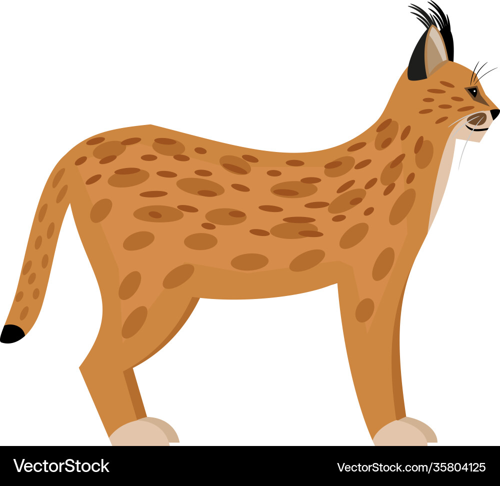 Wild lynx cartoon character Royalty Free Vector Image