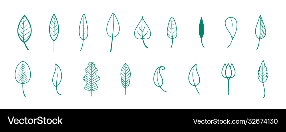 Line style green leaves minimal collection Vector Image
