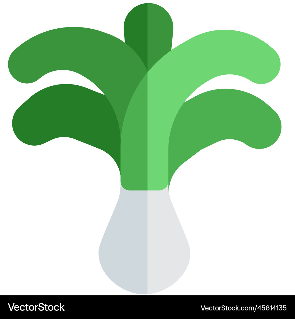 Leek vegetable an add-on for cuisines Royalty Free Vector
