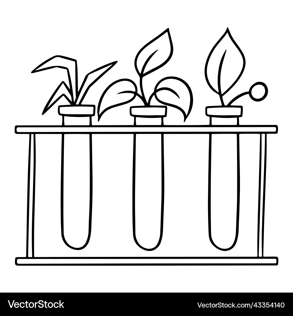 Monochrome biological experiment with plants Vector Image