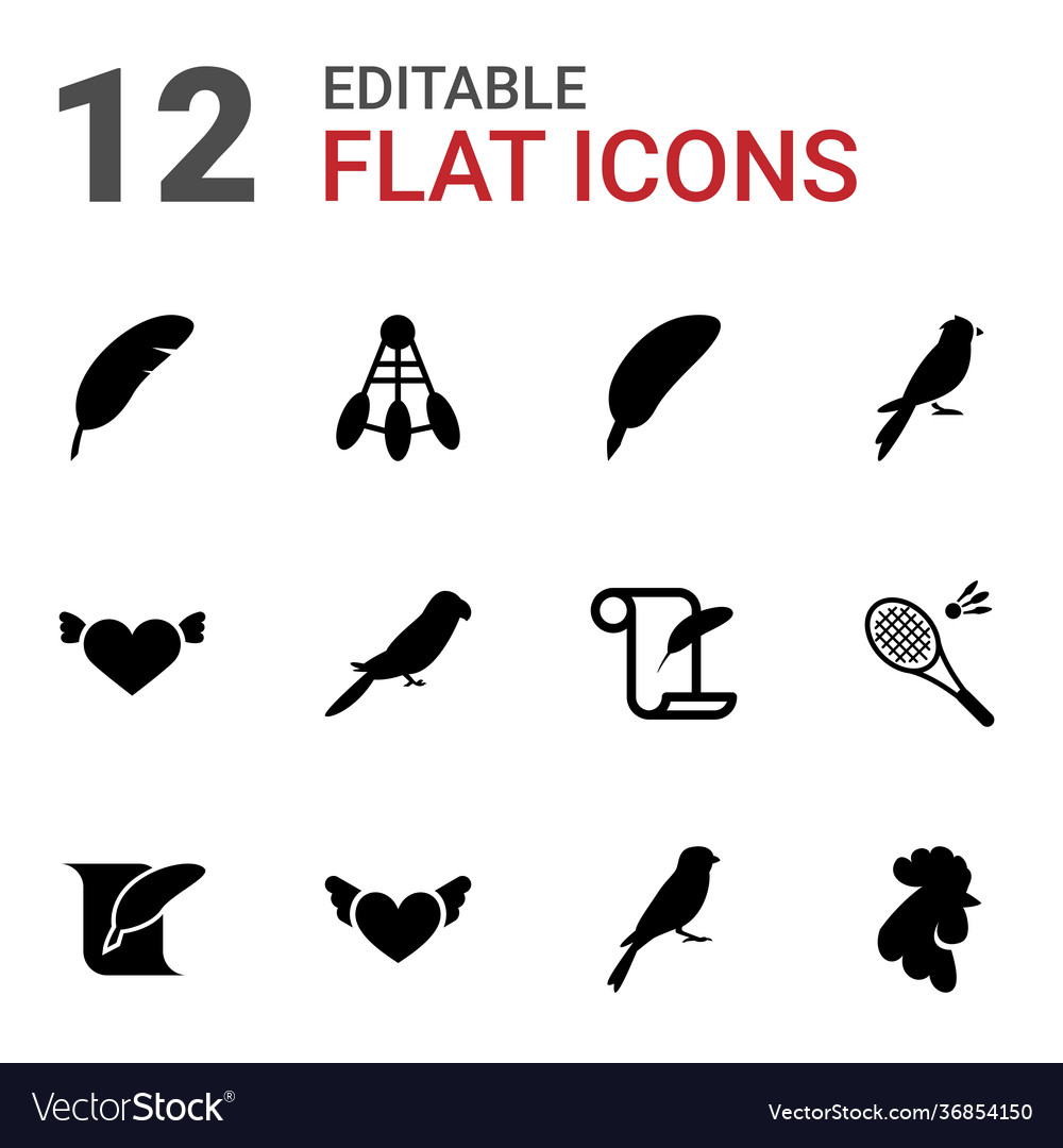 12 feather icons Royalty Free Vector Image - VectorStock