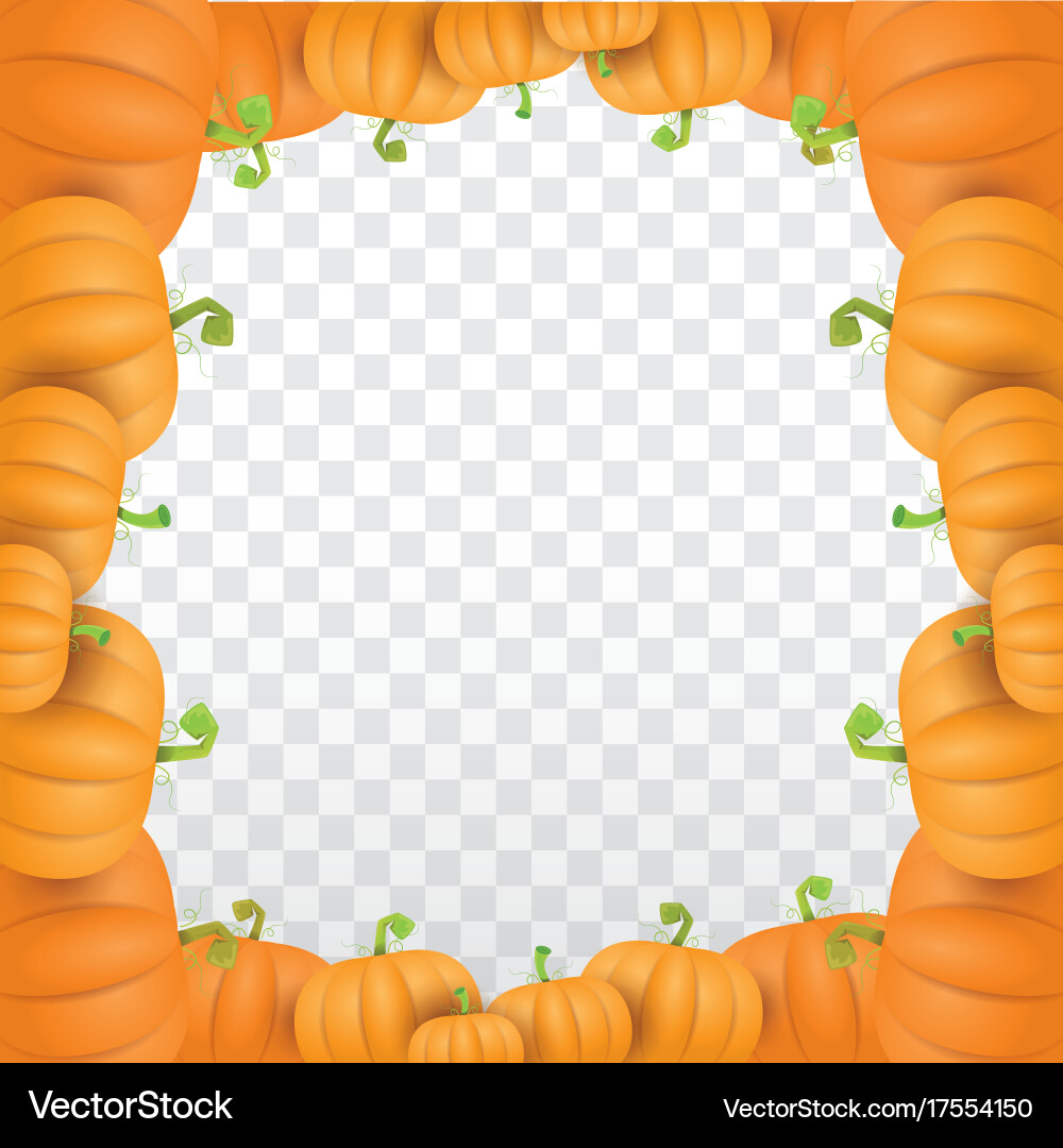 Autumn orange pumpkins border design Royalty Free Vector