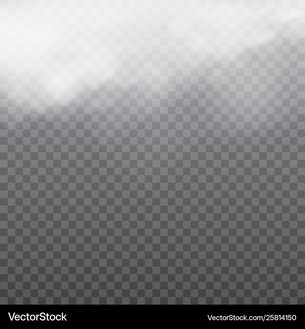 Fog or smoke isolated transparent special effect Vector Image
