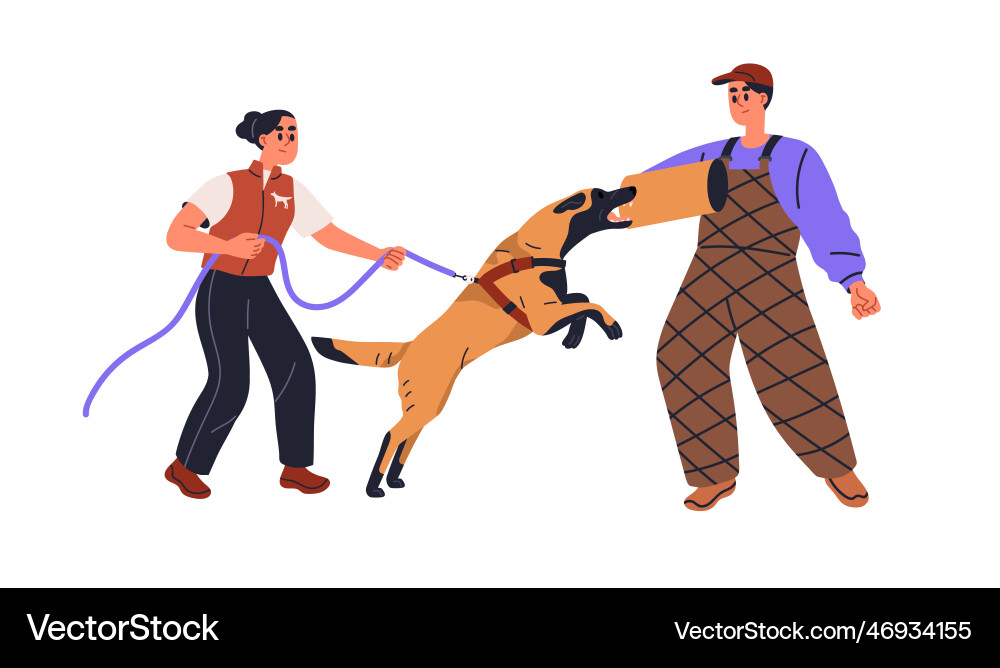 Dog trainer teaching belgian shepherd doggy Vector Image