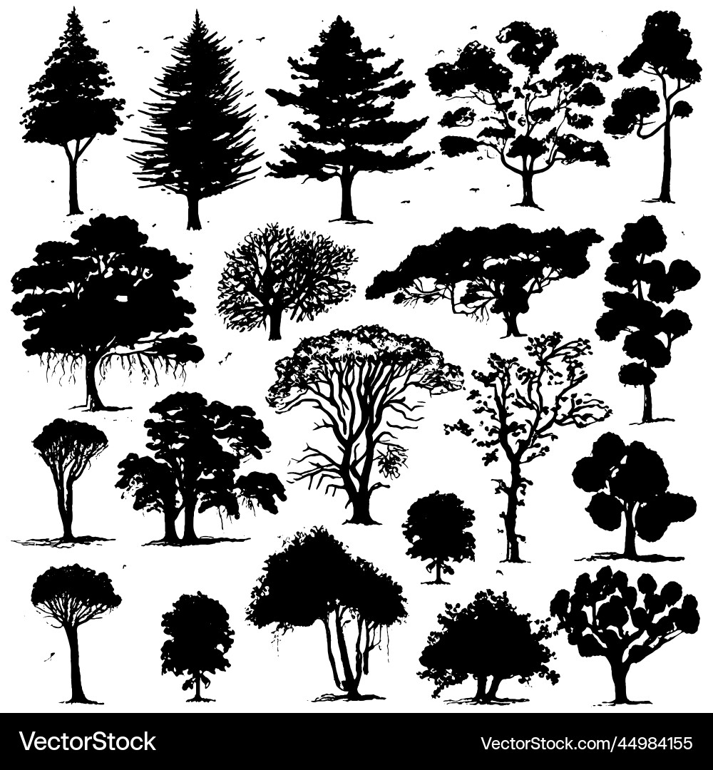 Hand drawn set of trees silhouette Royalty Free Vector Image