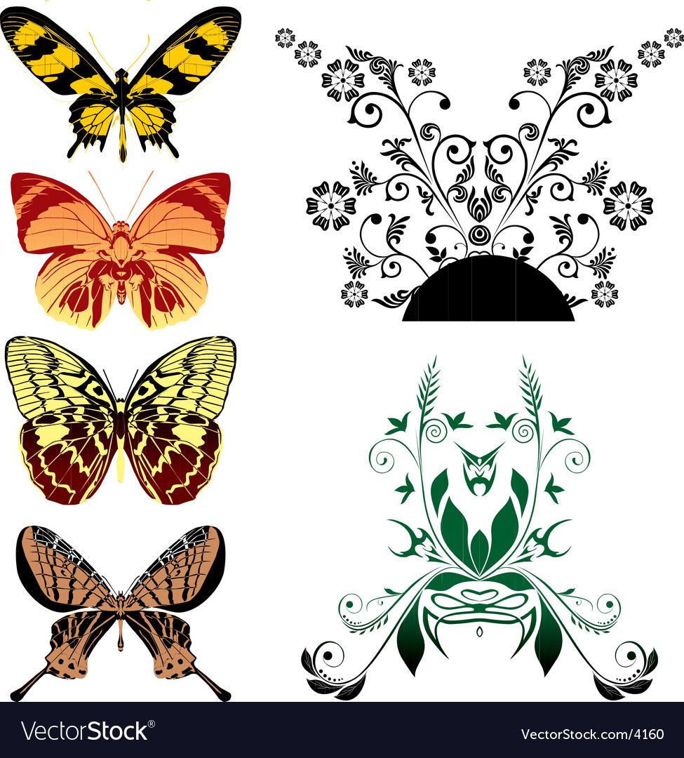 Design elements Royalty Free Vector Image - VectorStock