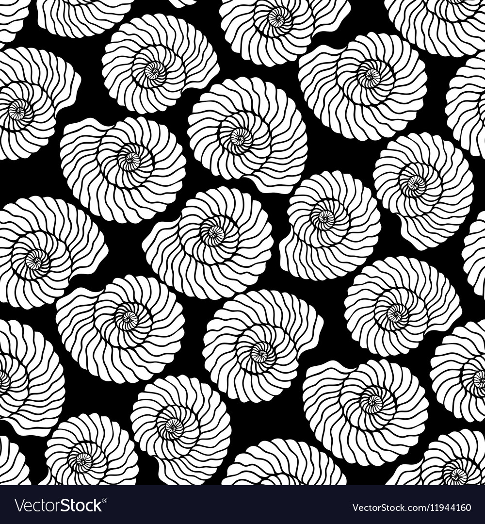Graphic seashell pattern Royalty Free Vector Image