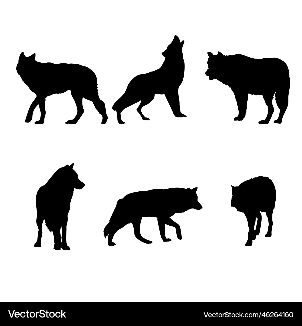 Set of silhouettes wolves Royalty Free Vector Image