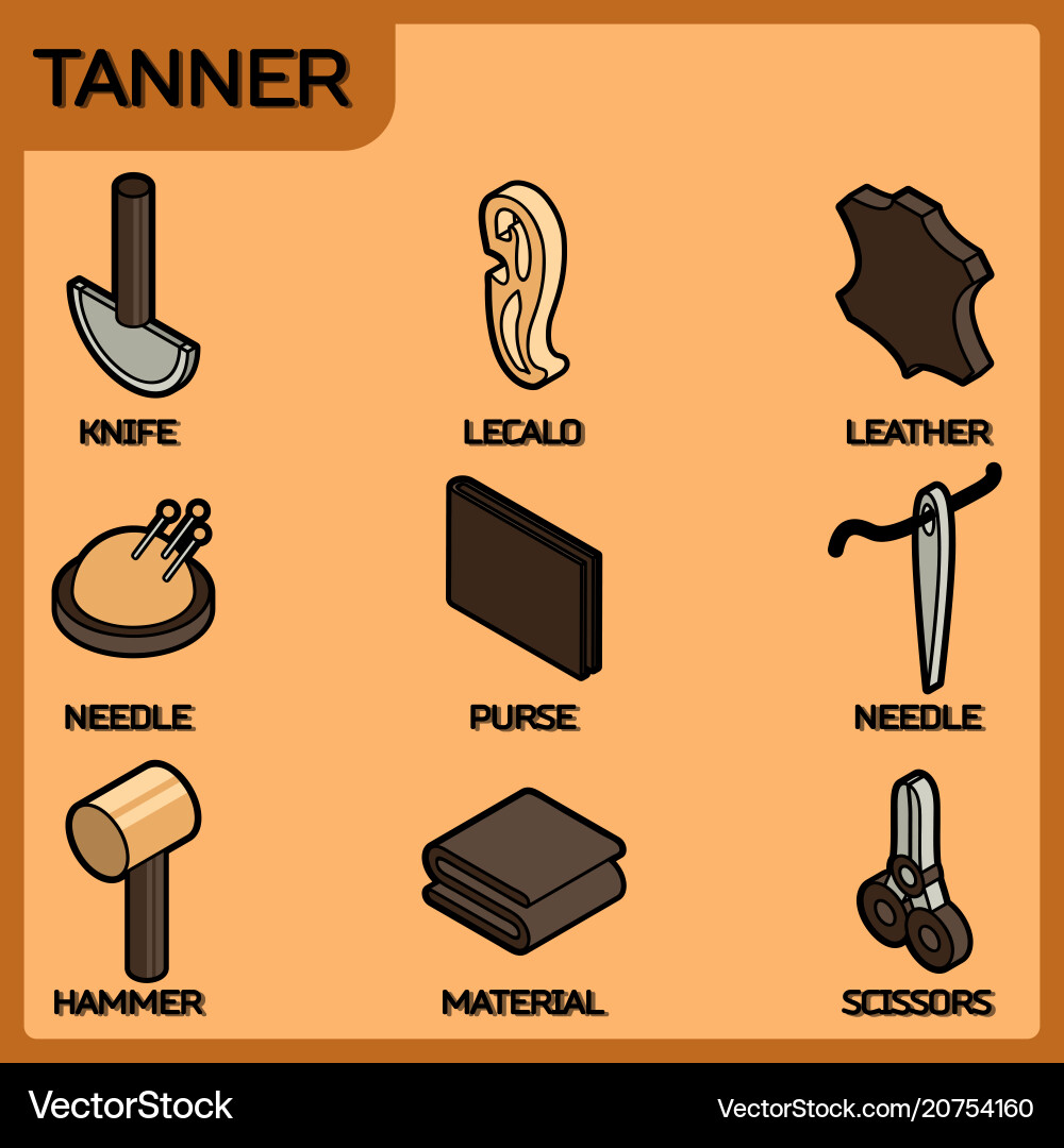 Tanner color isometric icons Royalty Free Vector Image