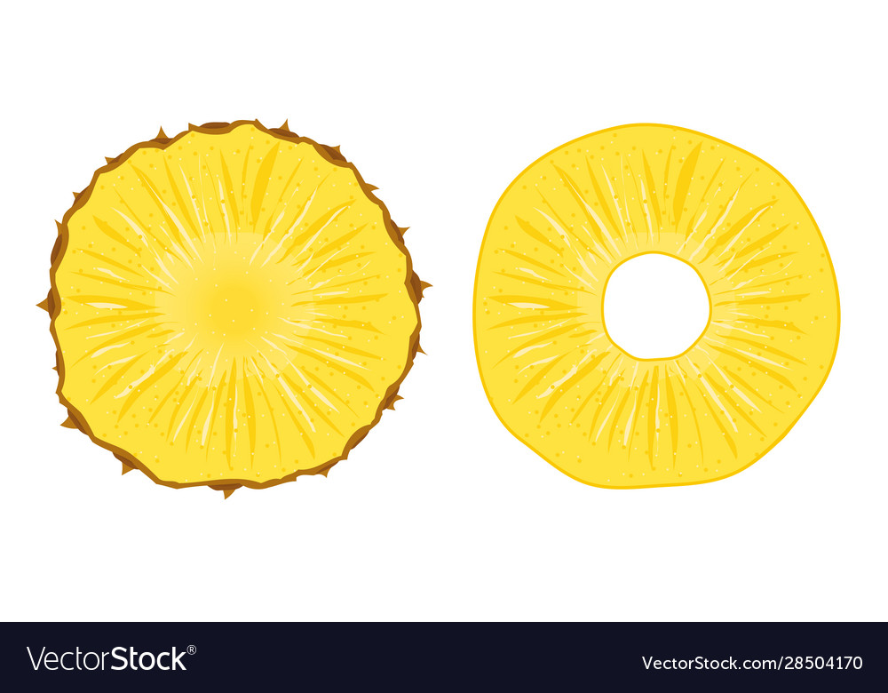 Pineapple slice fruit Royalty Free Vector Image