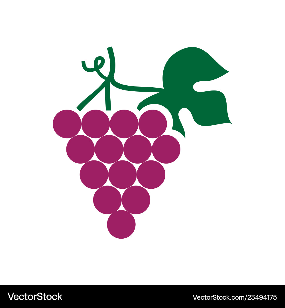 Fruit color icon on white background for graphic Vector Image