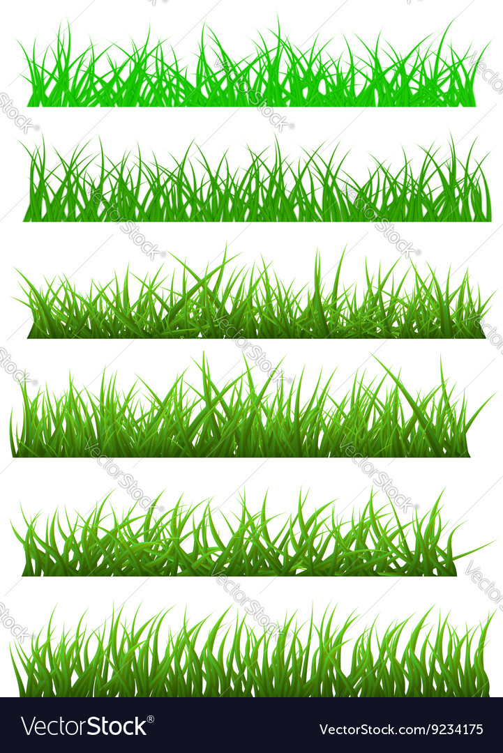Grass Royalty Free Vector Image - VectorStock
